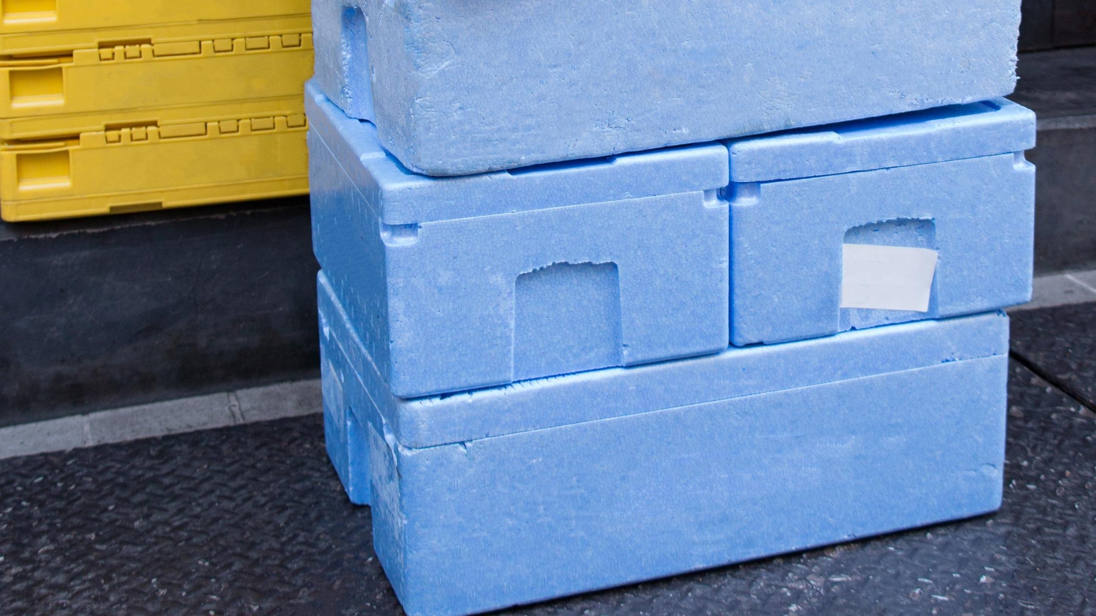 How are Coolers Used in Shipping | Nordic Cold Chain Solutions