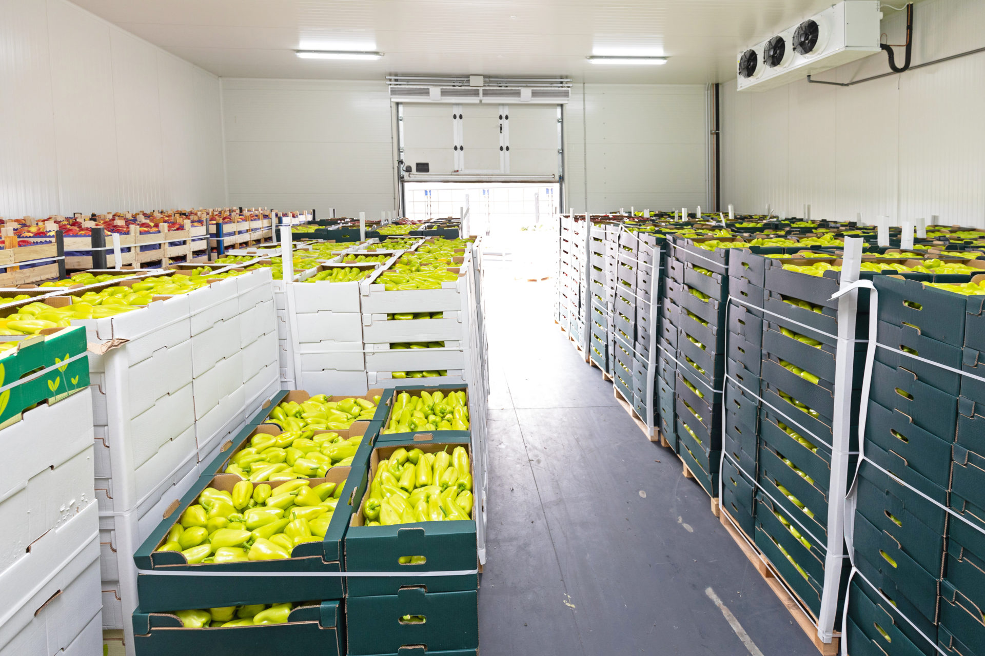 What Types of Products Require a Cold Chain? | Nordic Cold Chain Solutions