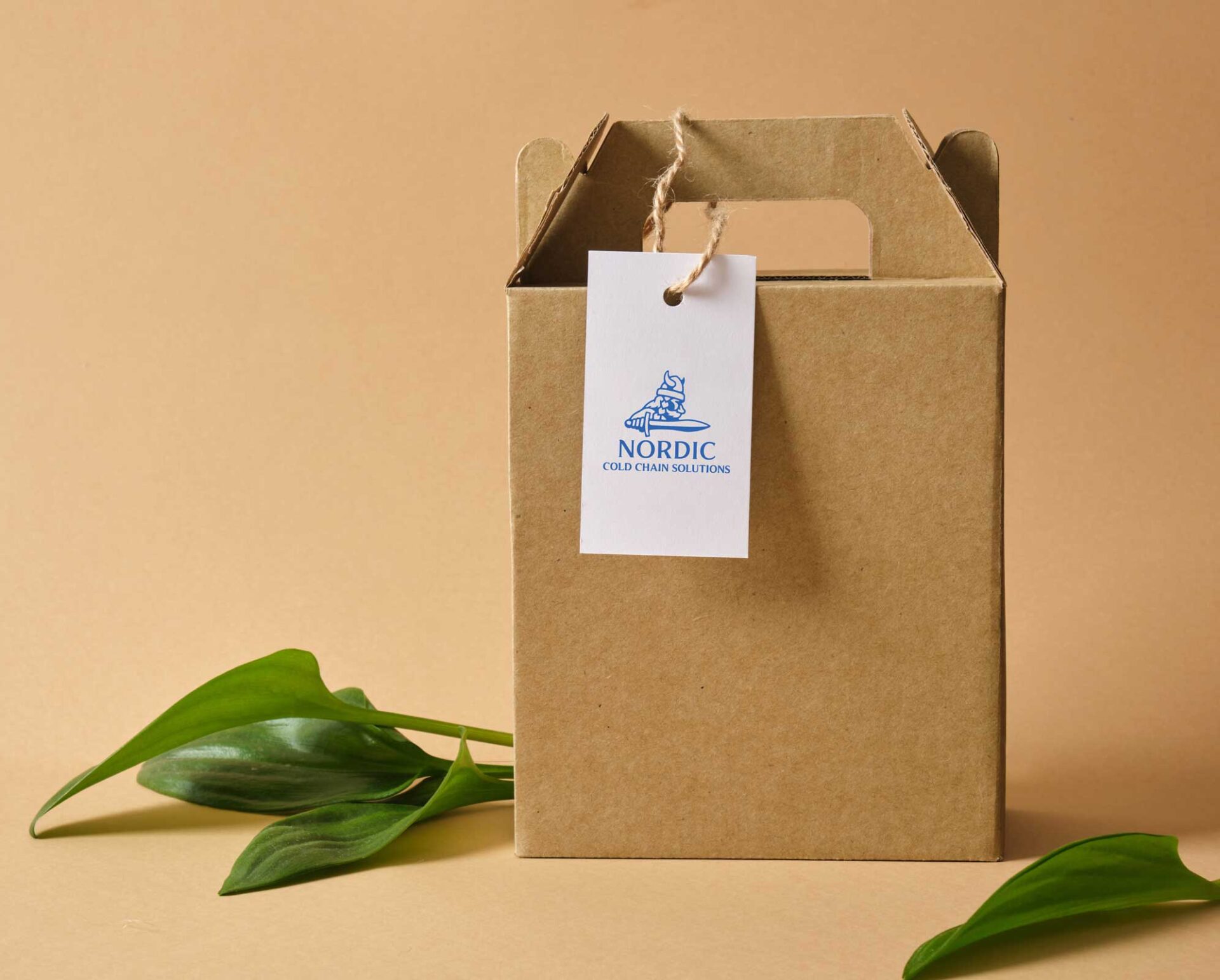 Sustainable Cold Chain Technologies | Nordic Cold Chain Solutions