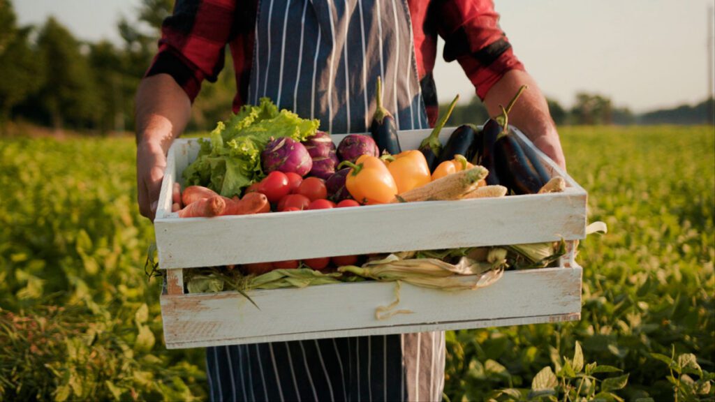 Spring Harvest Food Safety - Cold Chain Solutions | Nordic Cold Chain ...